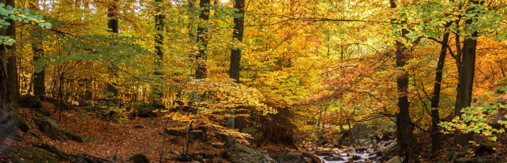 Nos valeurs | MéthoDrone : Rigueur, sécurité, respect et qualité